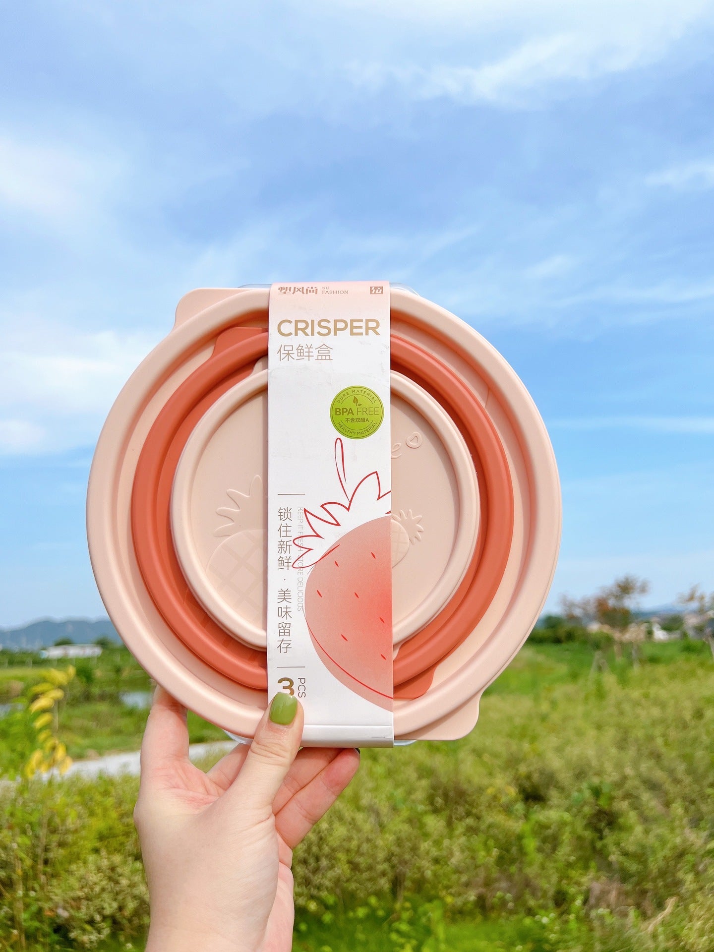 Small round three-piece crisper set– Miniso Pakistan