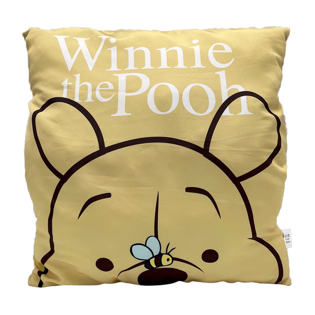 Winnie-the-Pooh Collection Winnie-the-Pooh Hand Warmer Pillow – Miniso ...