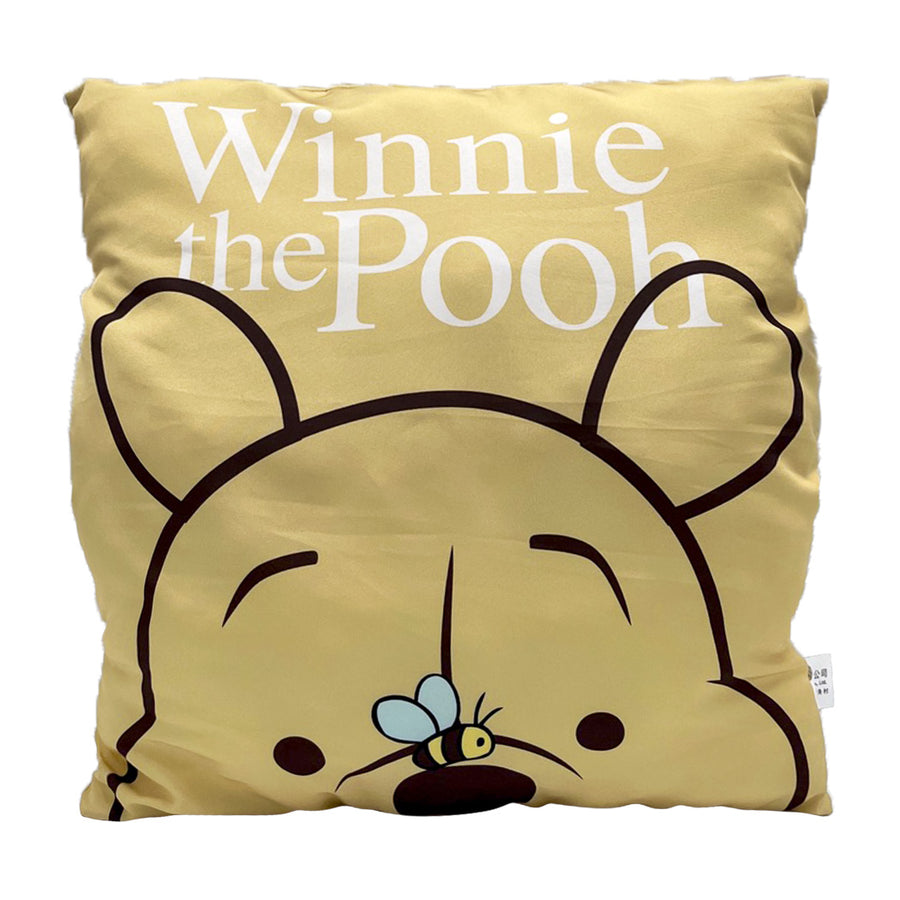 Cartoon Pillow – Miniso Pakistan